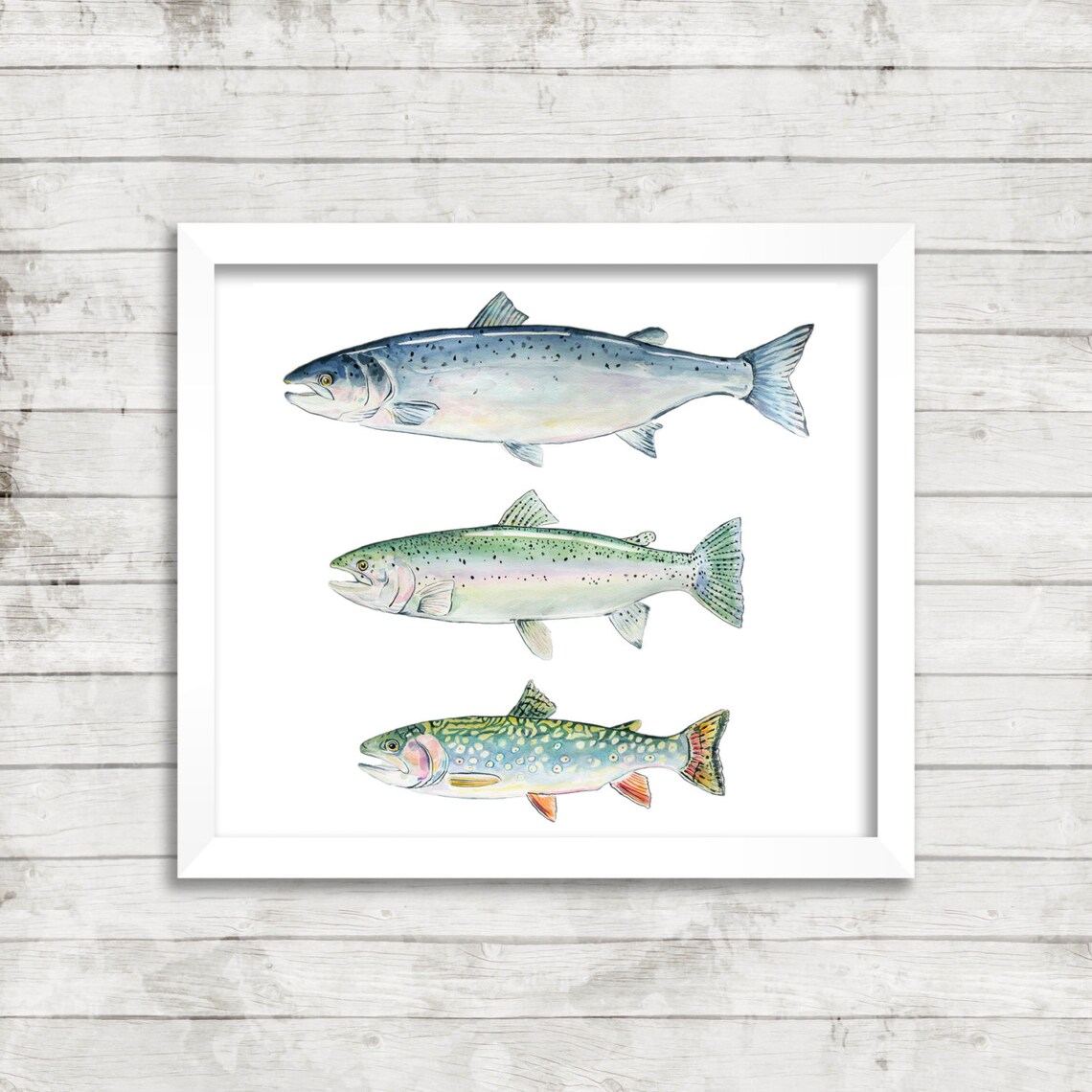 Trout Watercolor Print. Fish Art Print. Trout Art. Fish Art. - Etsy