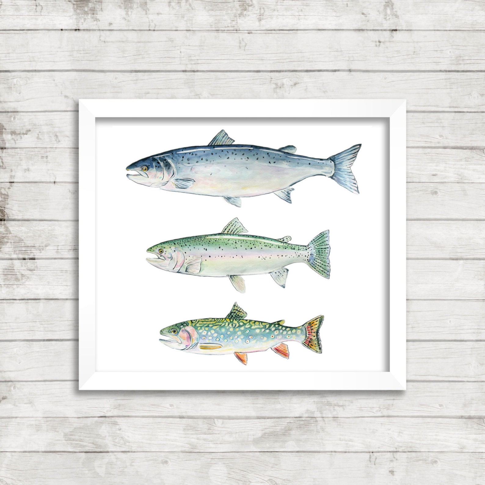 Trout Watercolor Print. Fish Art Print. Trout Art. Fish Art. Pond Life ...
