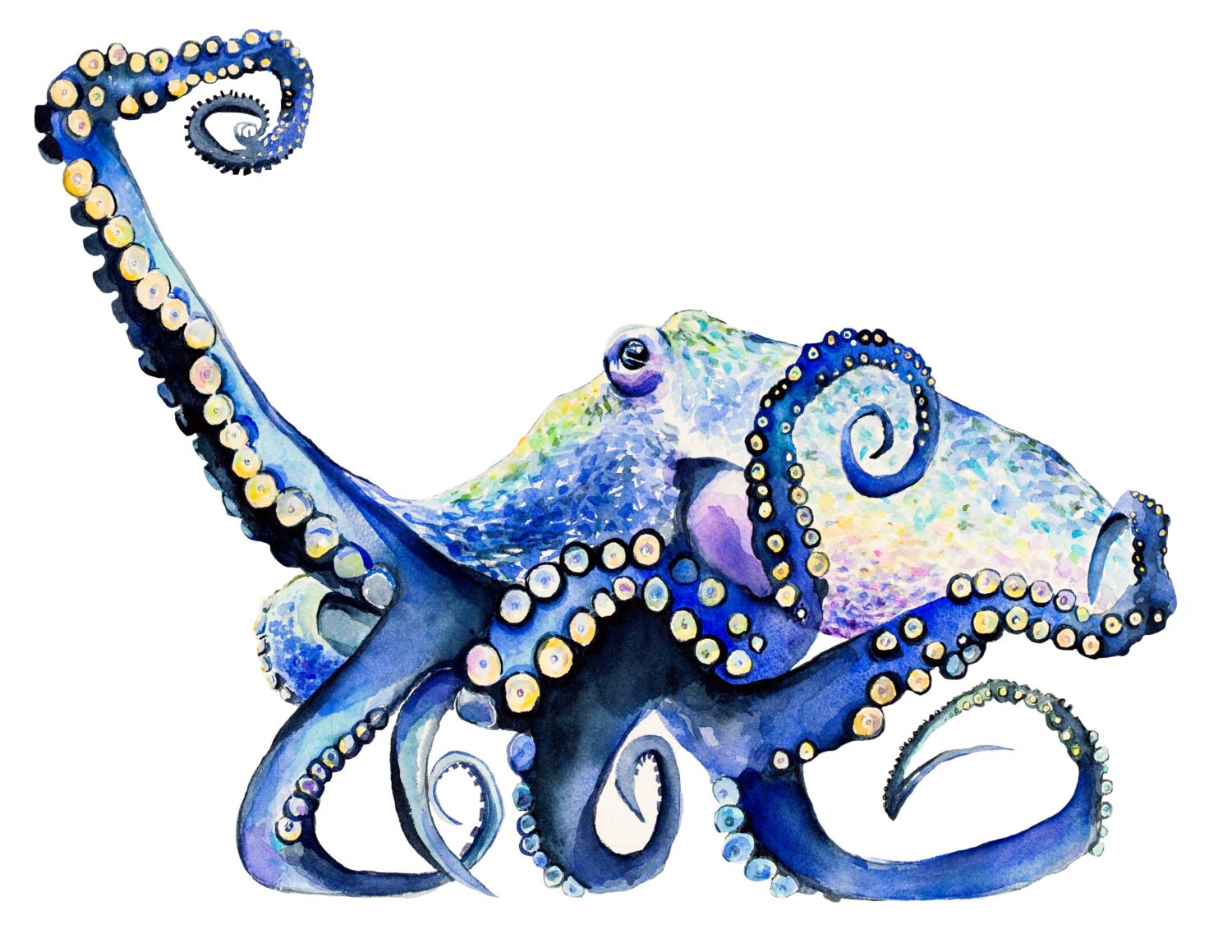 Octopus Watercolor Print. Octopus Art Print. Nautical Art. Coastal Art ...