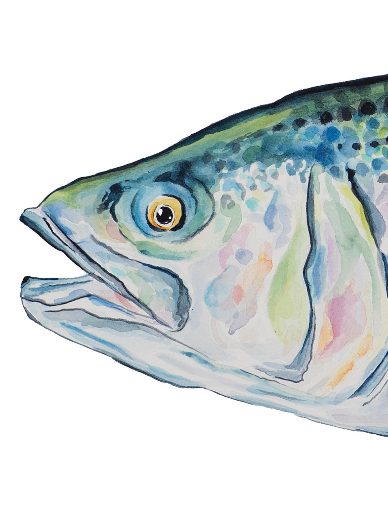 Striped Bass Watercolor Print. Fish Art. Fish Print. Coastal - Etsy