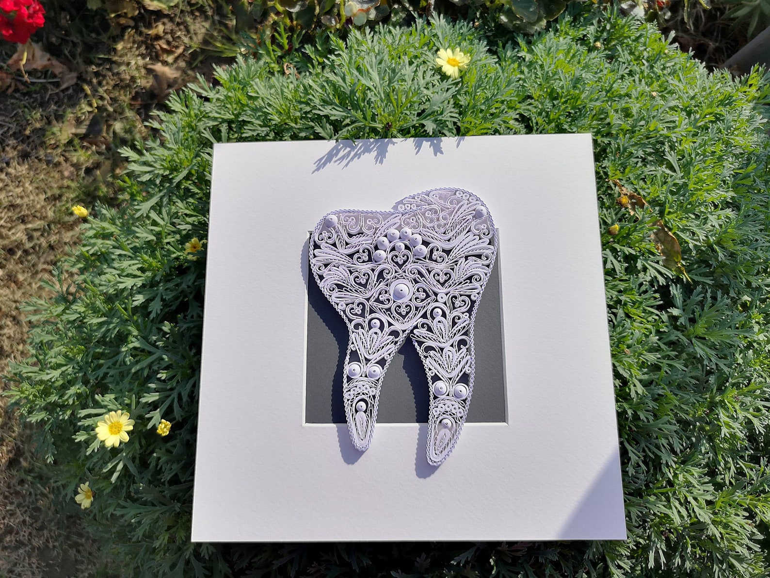 Quilled Tooth Mandala Wall Art, Framed Dental Anatomy Decor, Office ...