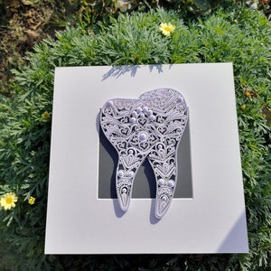 Quilled Tooth Mandala Wall Art, Framed Dental Anatomy Decor, Office ...