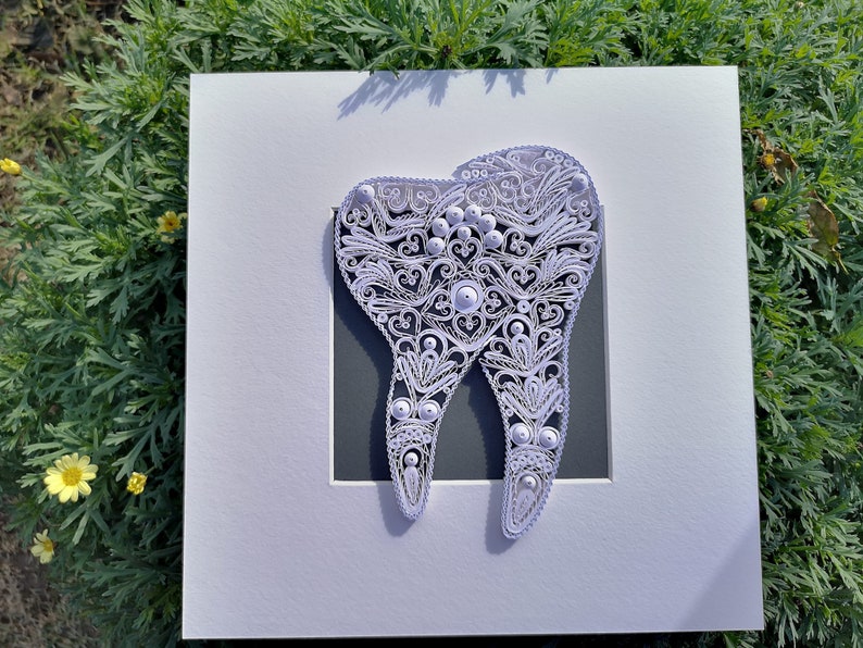 Quilled Tooth Mandala Wall Art, Framed Dental Anatomy Decor, Office Dentist Gift - Etsy