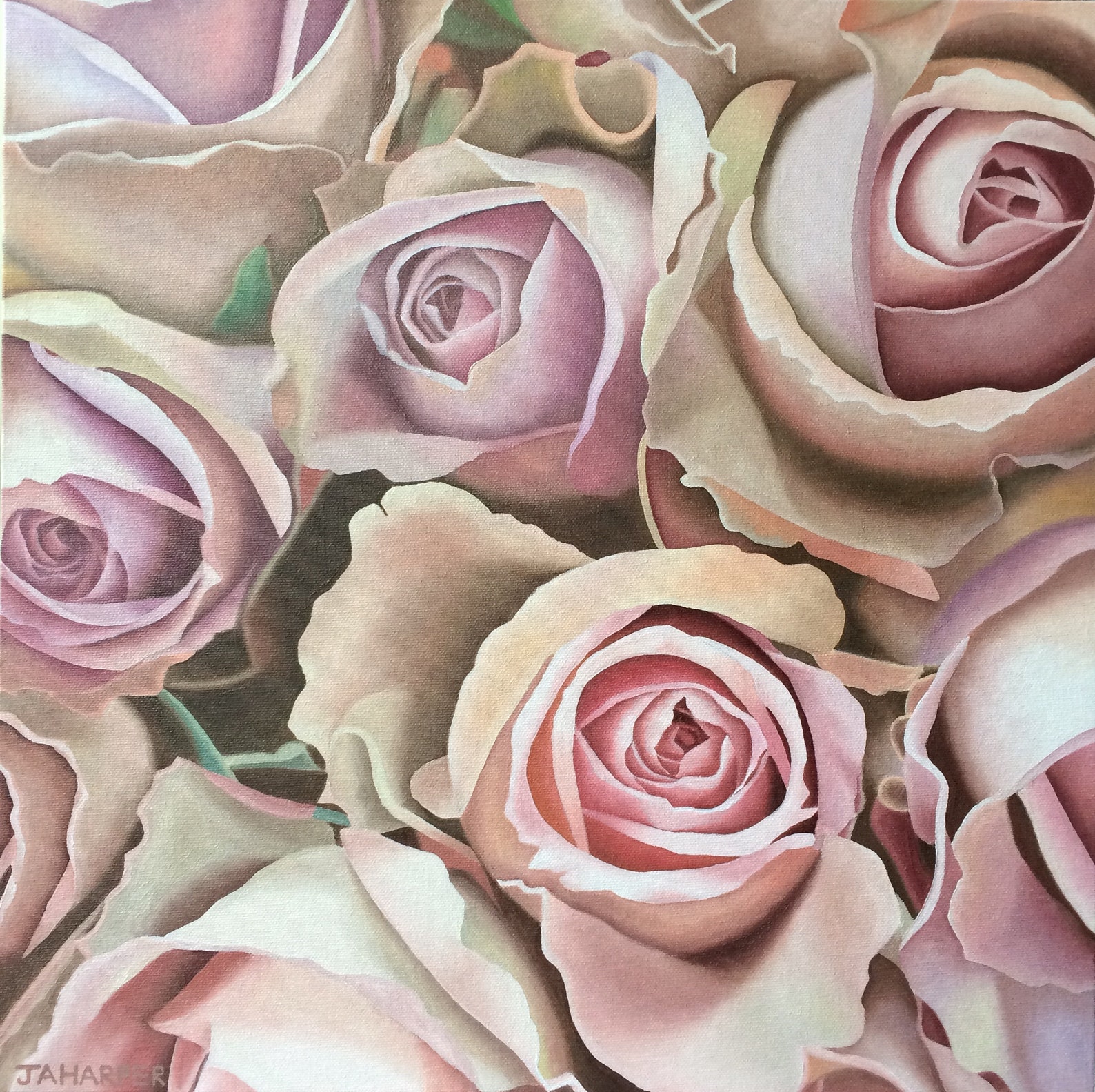 Cafe Latte Roses: Original Oil Painting on Canvas (16x16 In) - Etsy
