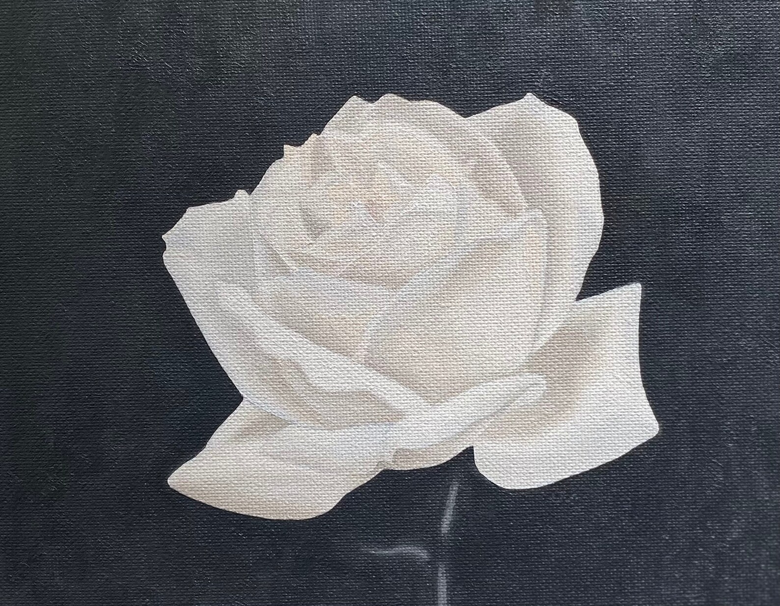 White Rose, Original Oil Painting on Canvas, Black and White, Framed ...