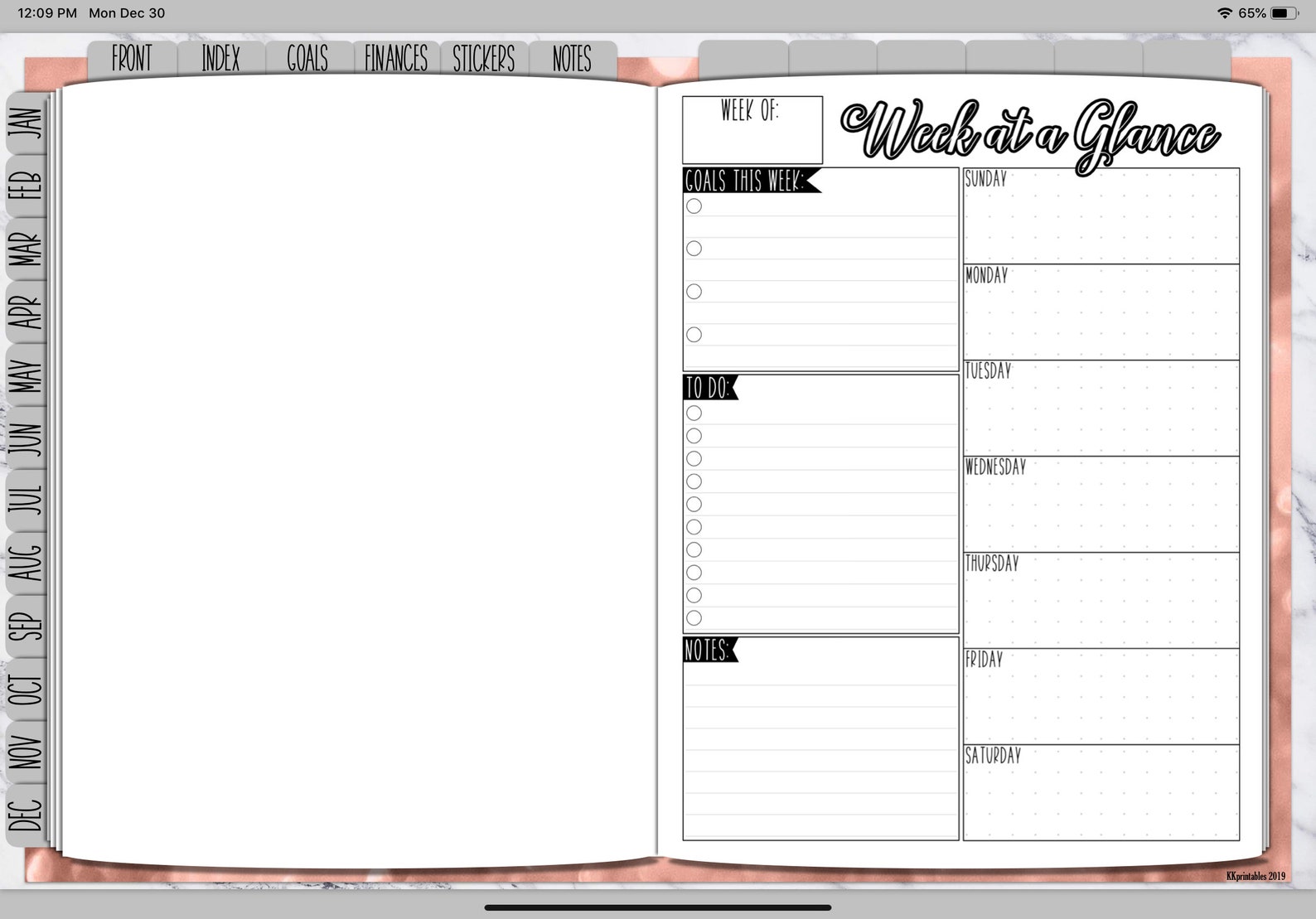 Sun-sat Week at a Glance Insert, Weekly Planner Printable Digital ...