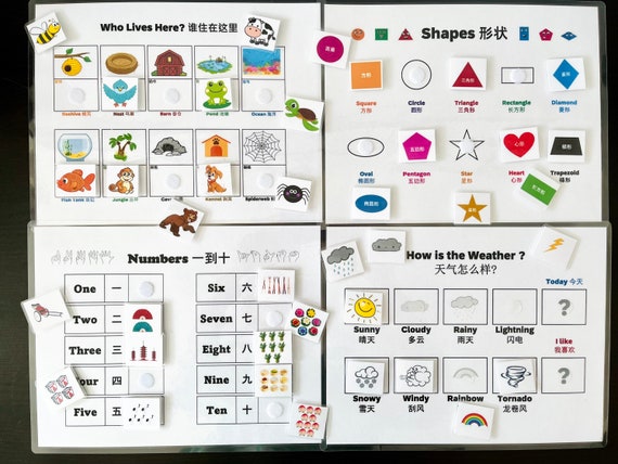 Montessori Learning English Chinese Bilingual Toddler Busy - Etsy