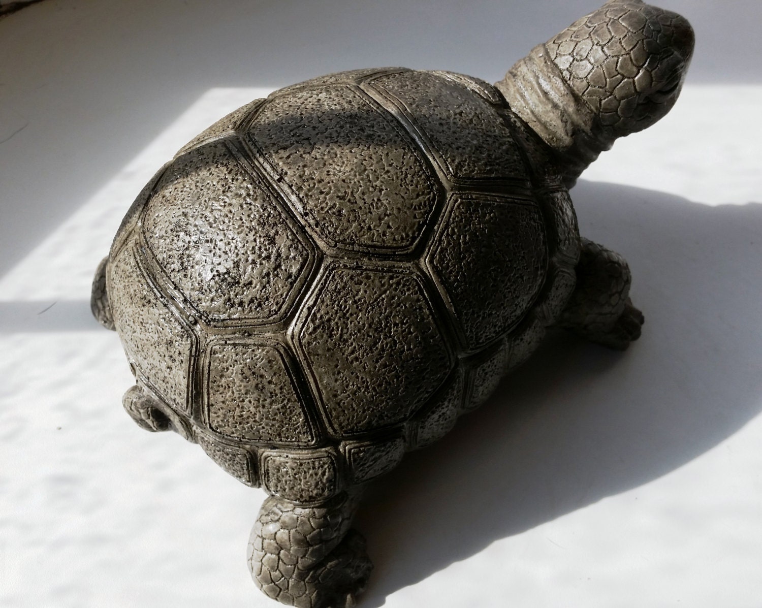 TORTOISE / TURTLE Garden Ornament Stone Cast Statue Hand | Etsy