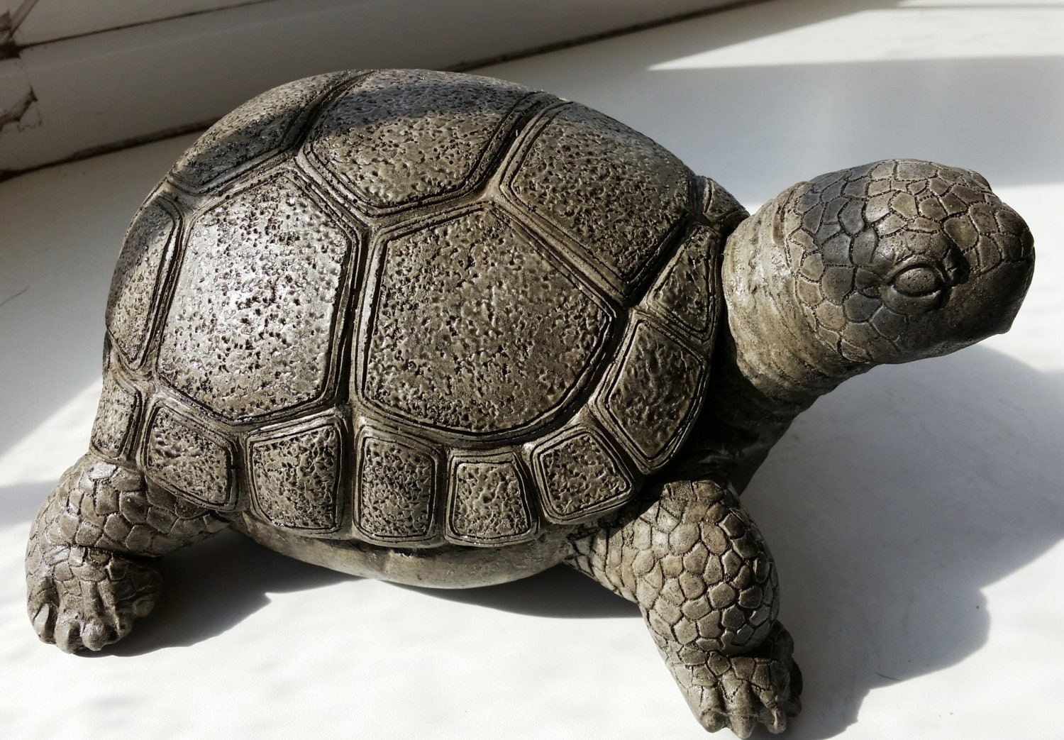 TORTOISE / TURTLE Garden Ornament Stone Cast Statue Hand | Etsy