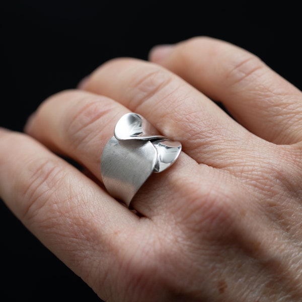 Brushed Silver Ring - Etsy
