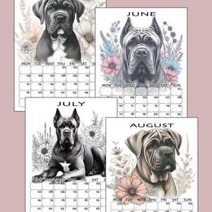 Cane Corso Calendar 2025 Calendar 2025 Dog Lover Calendar Wall Calendar ...