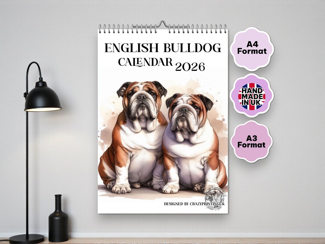 English Bulldog 2026 Calendar-dog Calendar 2026-english Bulldog Gifts ...