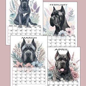 Cane Corso Calendar 2025 Calendar 2025 Dog Lover Calendar Wall Calendar ...