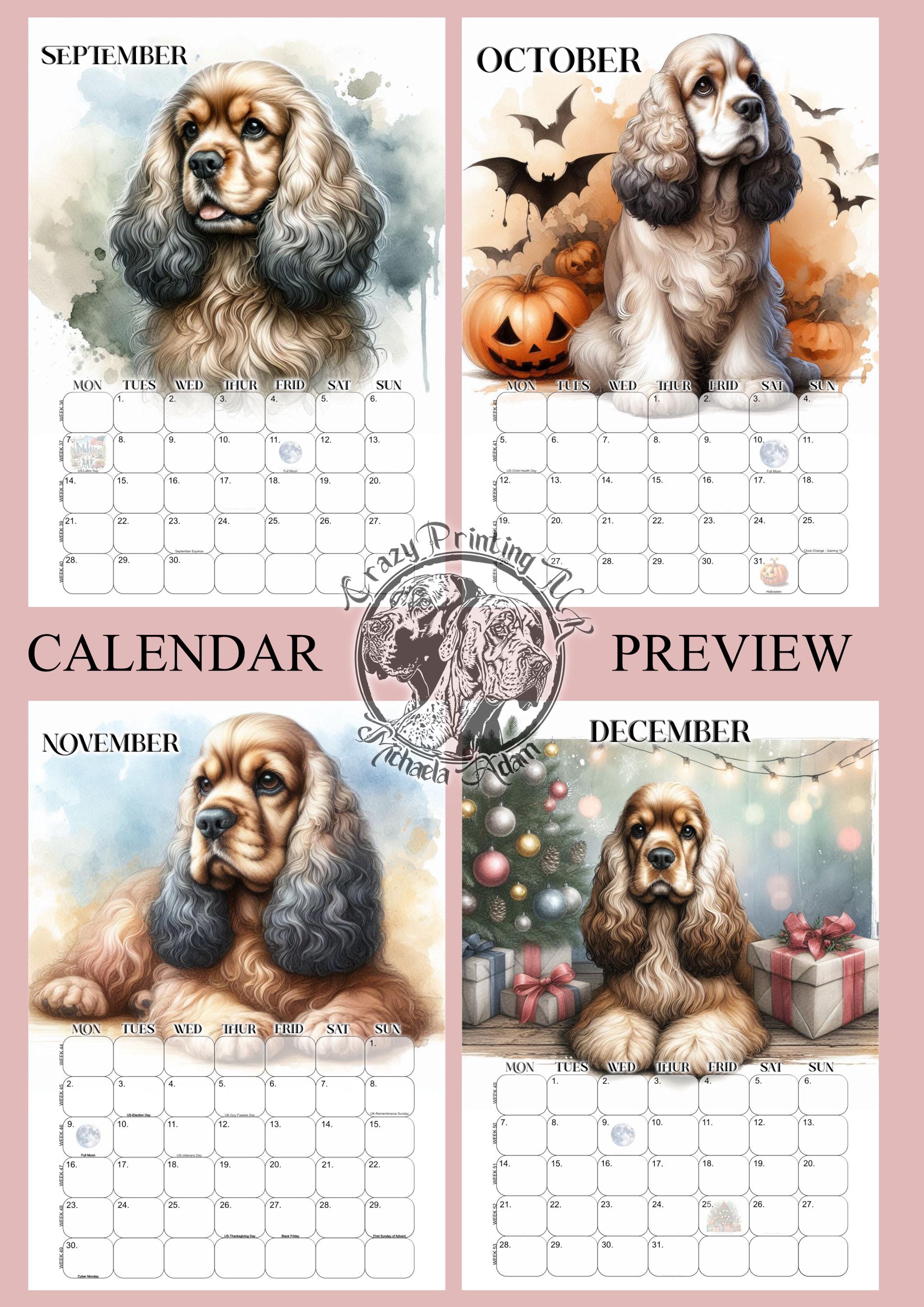 American Cocker Spaniel 2026 Calendar-calendar 2026-dog Calendar 2026 ...