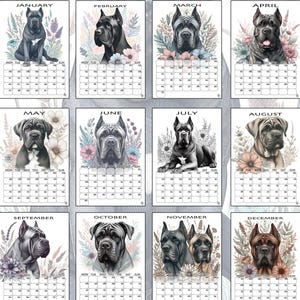 Cane Corso Calendar 2025 Calendar 2025 Dog Lover Calendar Wall Calendar ...