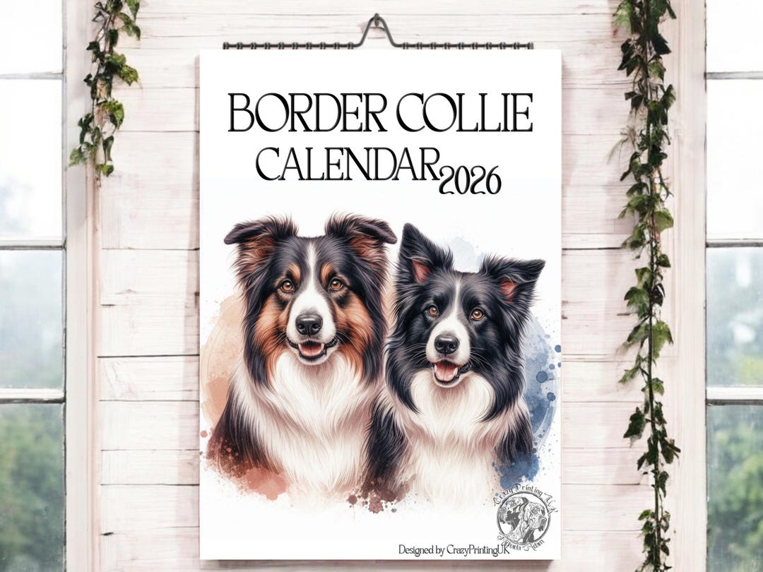 Border Collie 2026 Calendar-calendar 2026-dog Calendar 2026-collie Dog ...