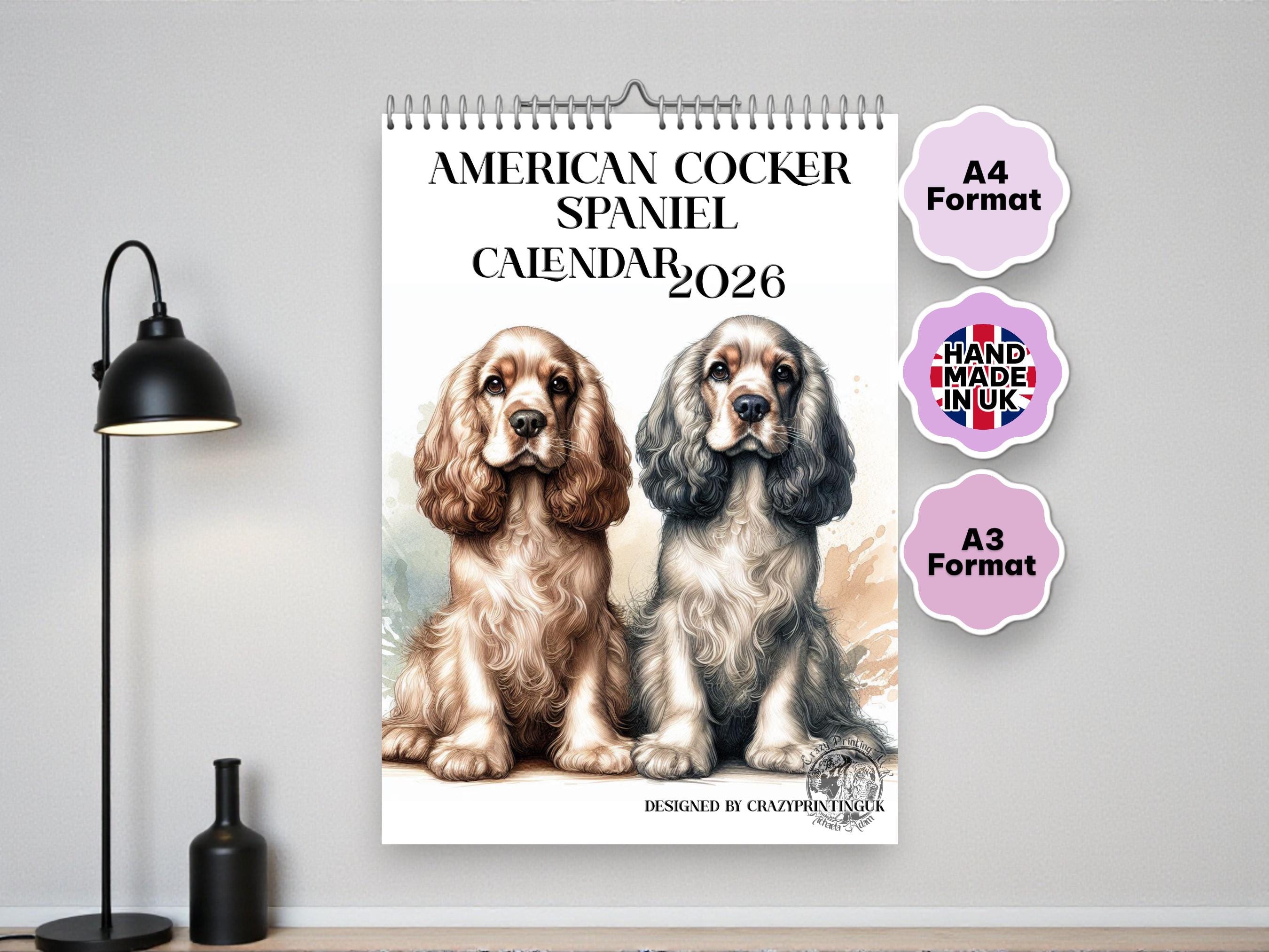 American Cocker Spaniel 2026 Calendar-calendar 2026-dog Calendar 2026 ...