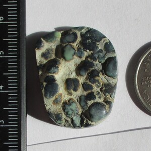 38.3 Ct. (30x24x7.5 Mm) 100% Natural Blue Boy Black Variscite Nugget ...