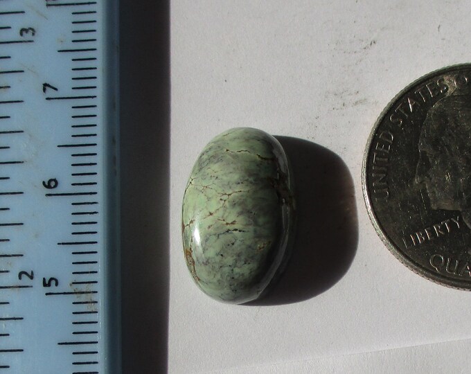 11.0 Ct. (18x12x6 Mm) 100% Natural Damele Variscite Cabochon Gemstone ...
