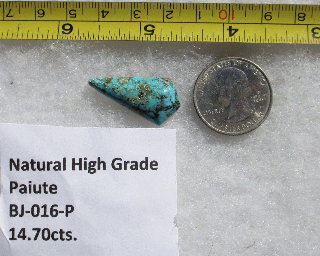 14.7 Ct. (29.5x15x6 Mm) Natural Rare Paiute Turquoise Cabochon ...
