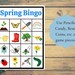 Printable Spring Bingo Game Children's Spring Bingo Game Classroom ...