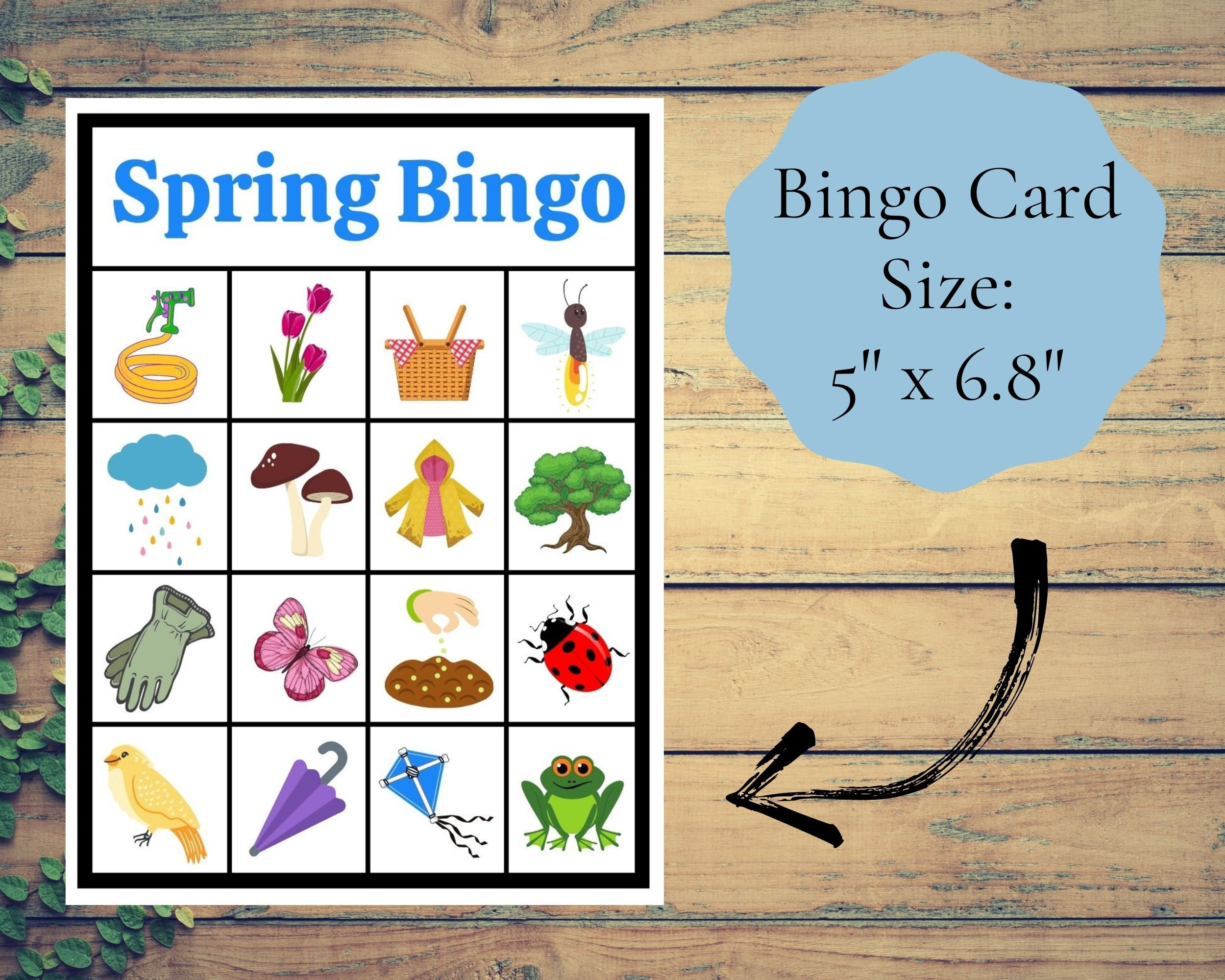 Printable Spring Bingo Game Children's Spring Bingo Game Classroom ...