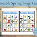 Printable Spring Bingo Game Children's Spring Bingo Game Classroom ...