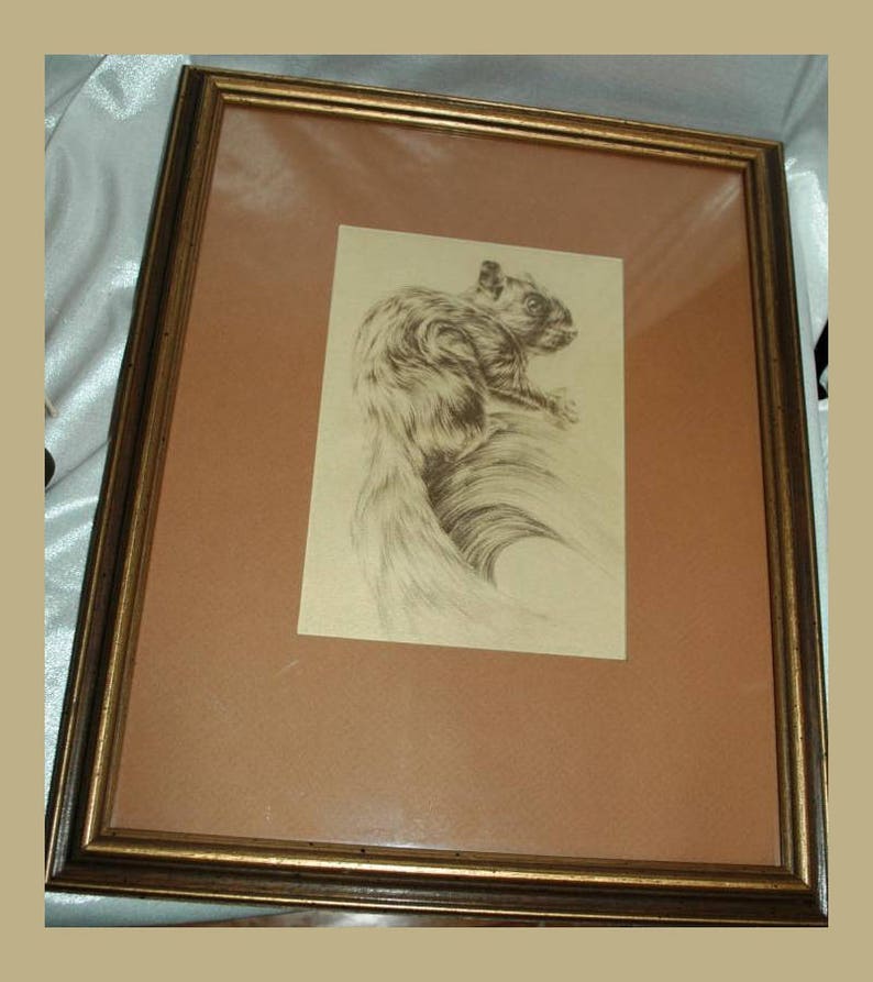 Monotone Drawing Squirrel Signed Shively ( George Shively) - Etsy