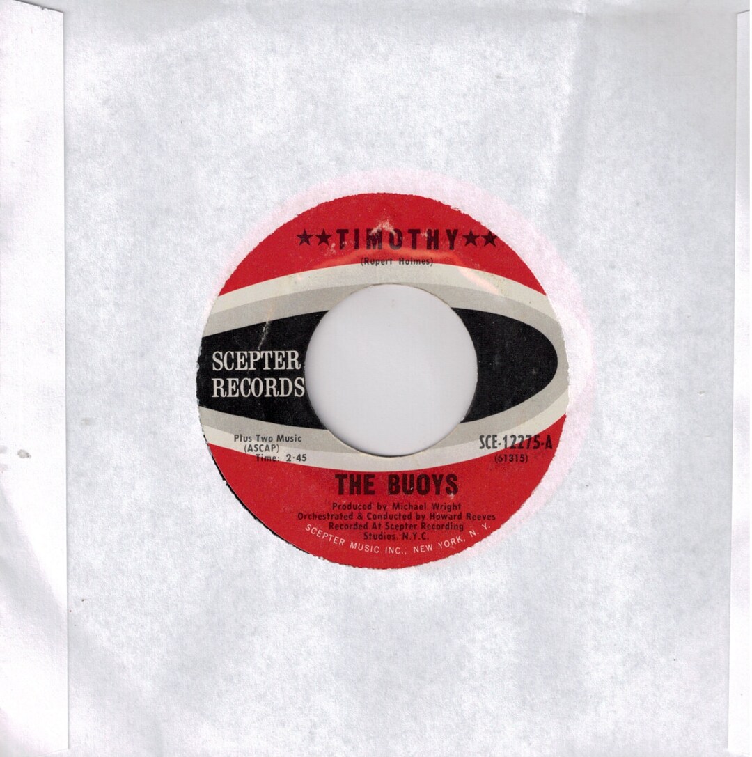 45 Rpm - the Buoys - Timothy / It Feels Good - - Etsy