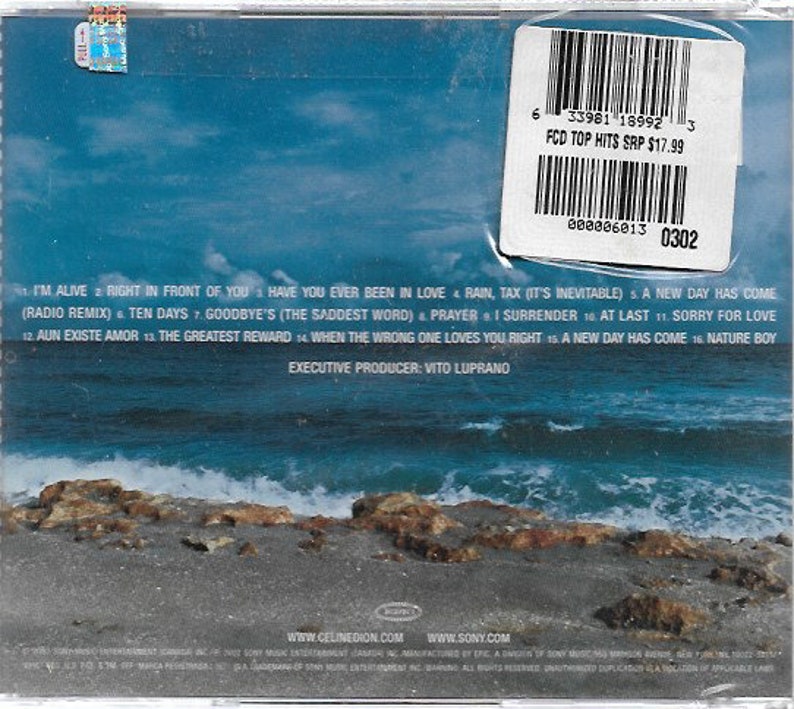 CD - STILL SEALED - Celine Dion - A New Day Has Come - Etsy