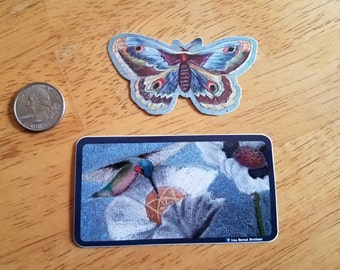 Hummingbird moth | Etsy