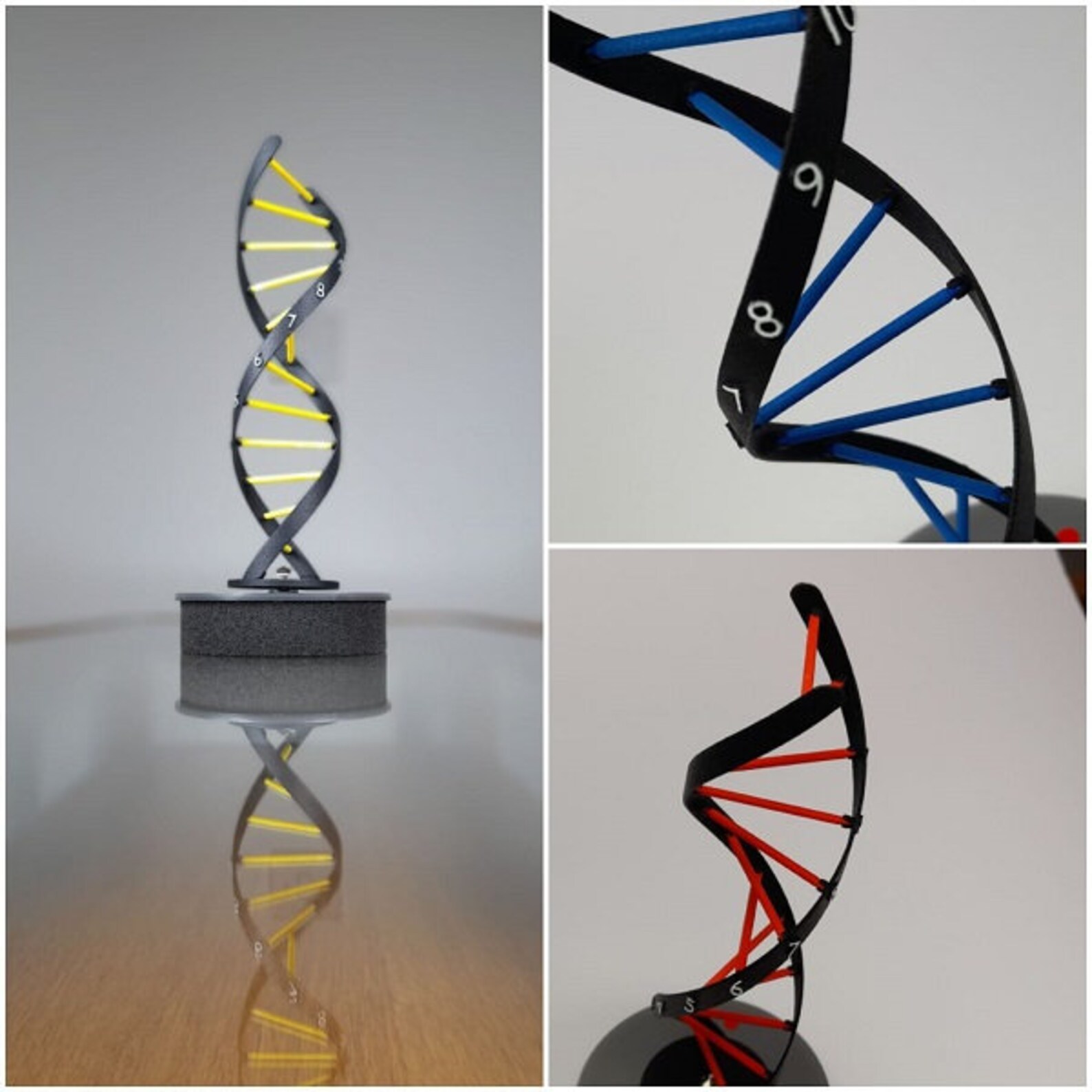 The DNA Clock - Etsy