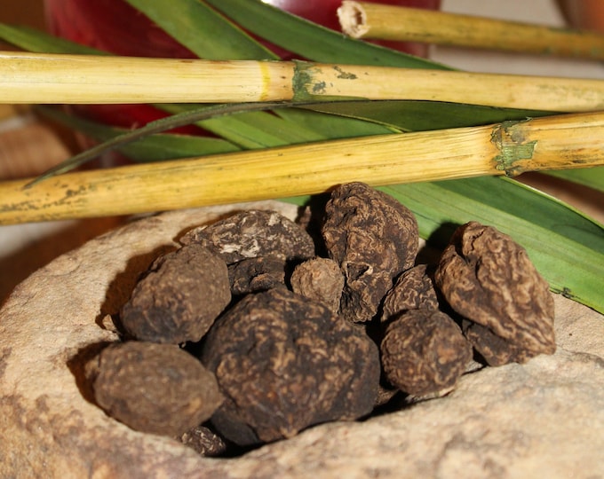 High John Root - Etsy