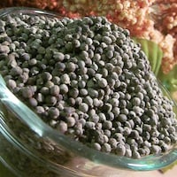 CHASTE TREE BERRIES / Chaste Berry Dried Herb Organic Tea (vitex Agnes ...
