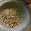 Osha Root Wild Harvested Fresh Organic Herbs - Etsy