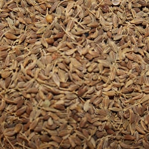 Anise Seed, Seeds for Planting - Grow Your Own Herbs! - Etsy
