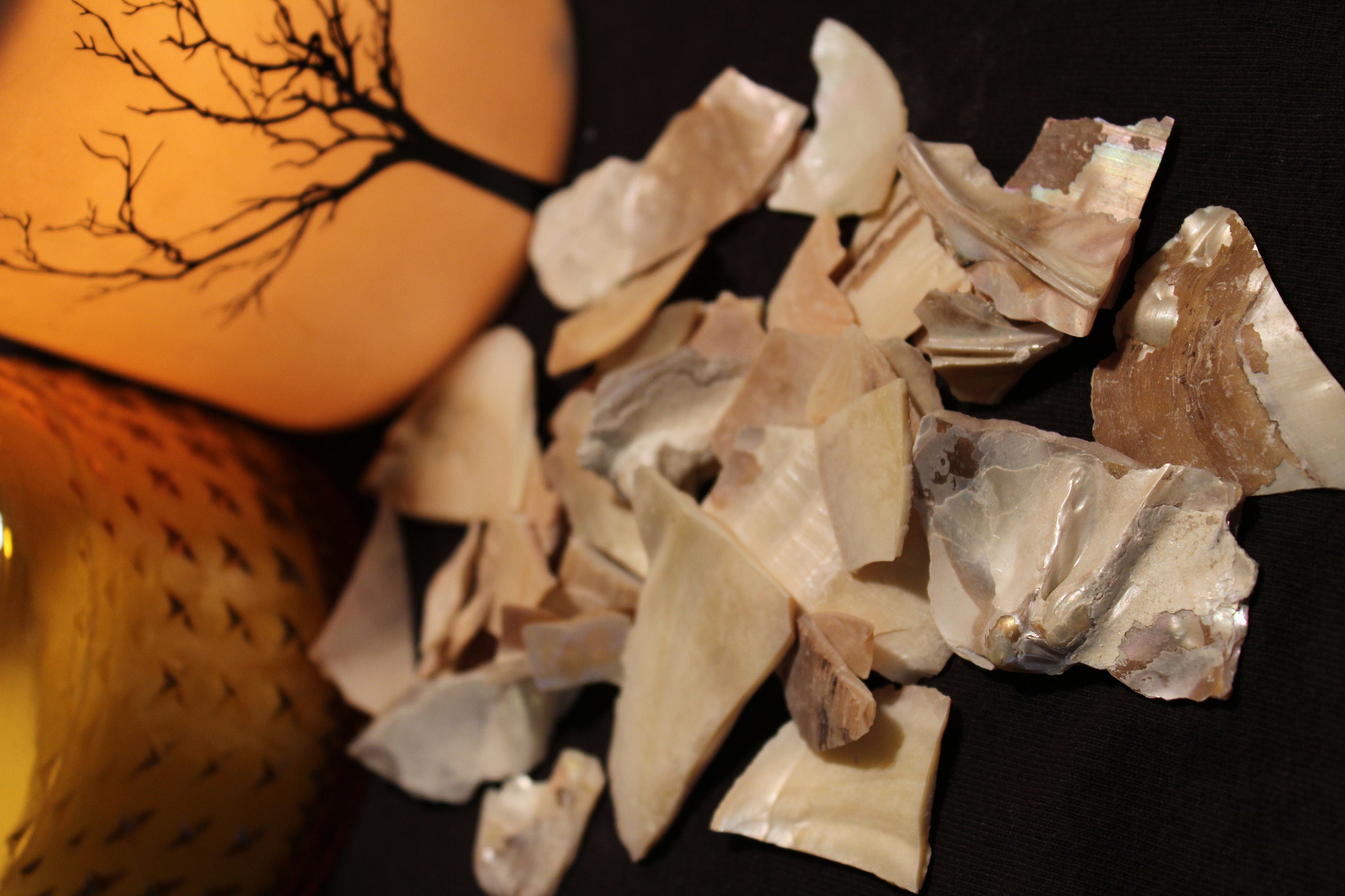 Mother of Pearl - Raw Nacre - Etsy