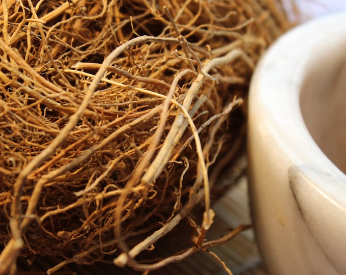 Vetiver LIVE PLANT Vetiver Zizanioides Ayurvedic Plant - 4" Pot - Etsy