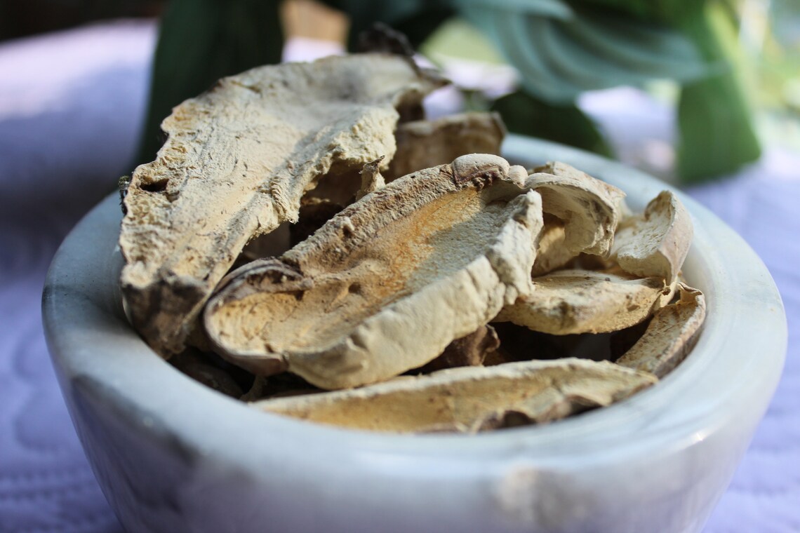 Giant Puffball Mushroom Cut/dried Mushrooms - Etsy