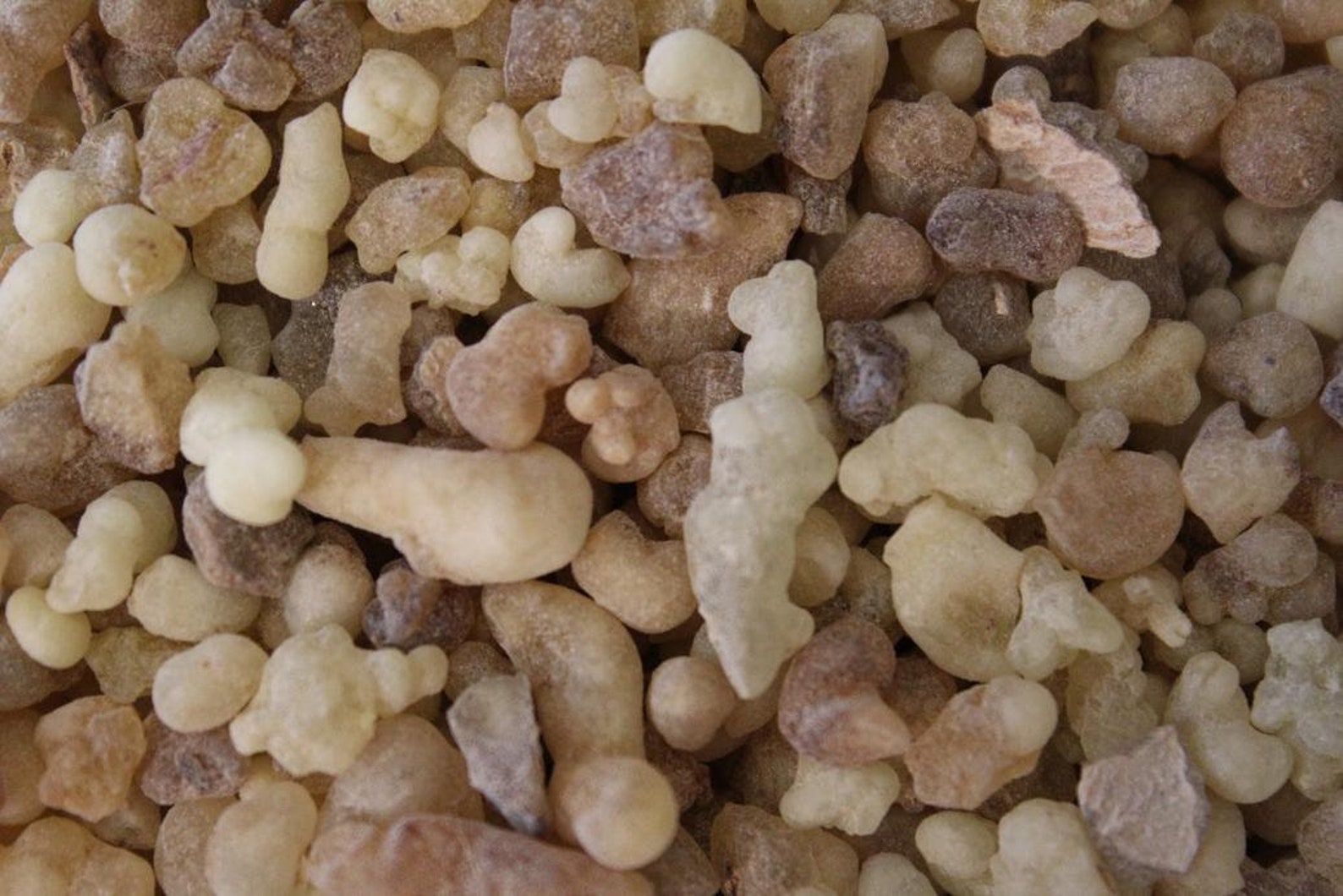 Frankincense Resin Powder Ground Fresh No Additives - Etsy