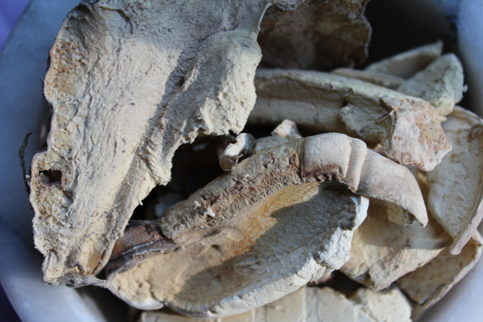 Giant Puffball Mushroom Cut/dried Mushrooms - Etsy