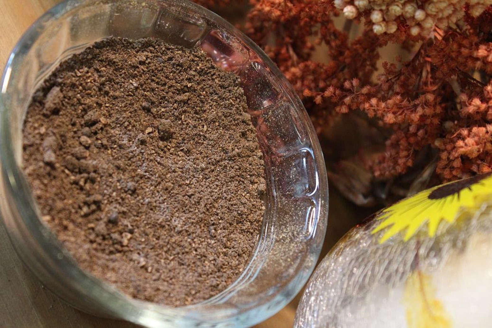 Chaste Tree Berry Powder Vitex Herb - Etsy