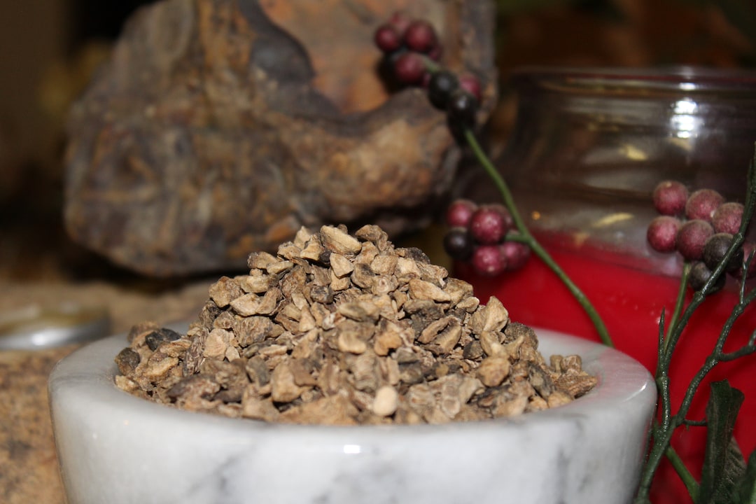Devils Claw Root, Wild Harvested Herbs - Etsy