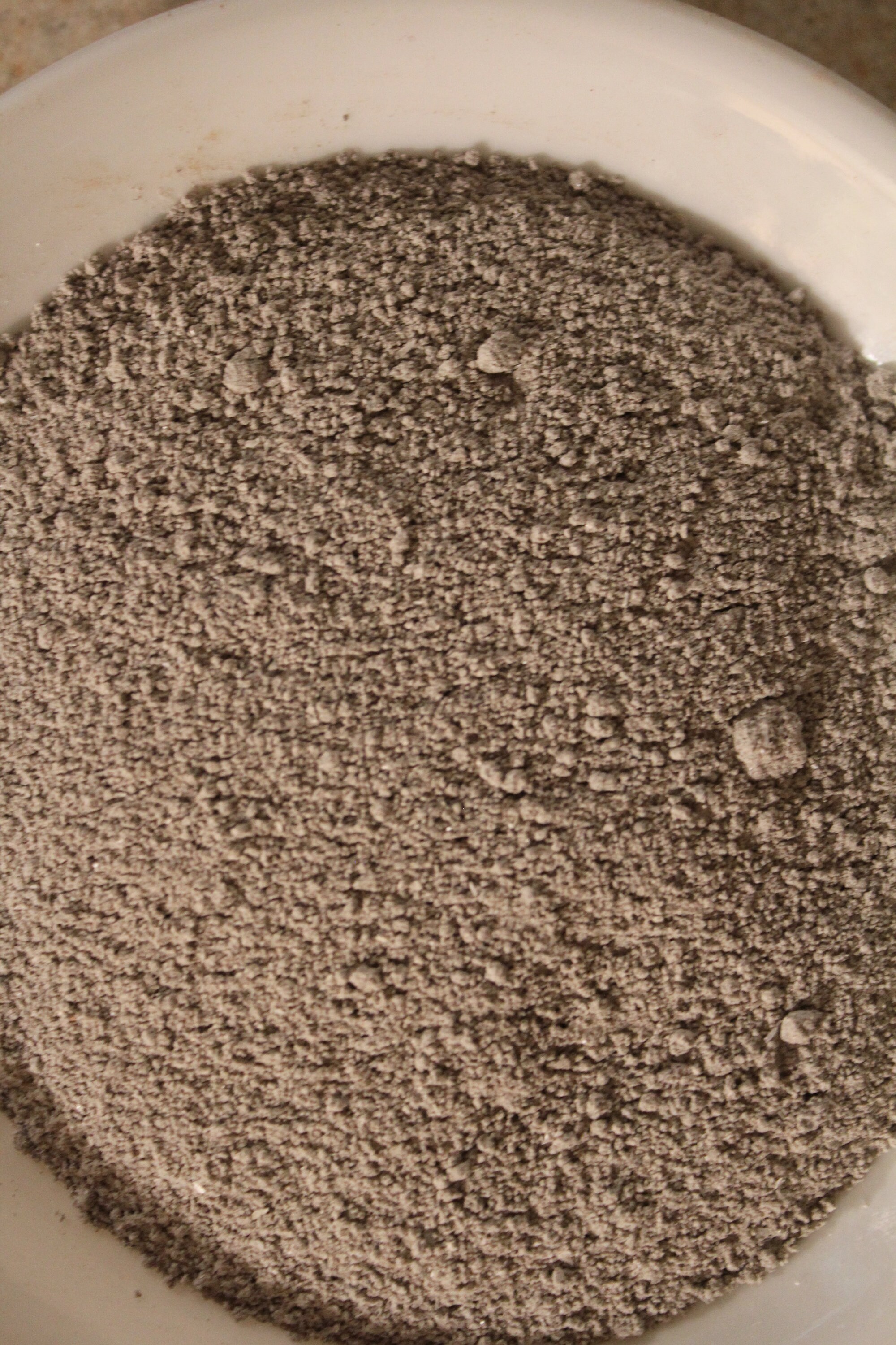 Ground Oyster Shells - Etsy