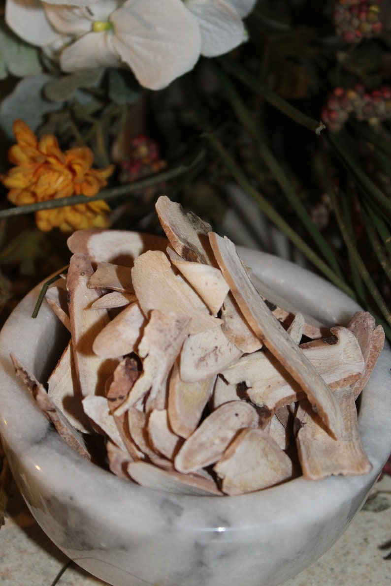Peony Root - Etsy