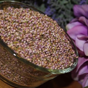 Heather Seeds - Grow Your Own Herbs! - Etsy