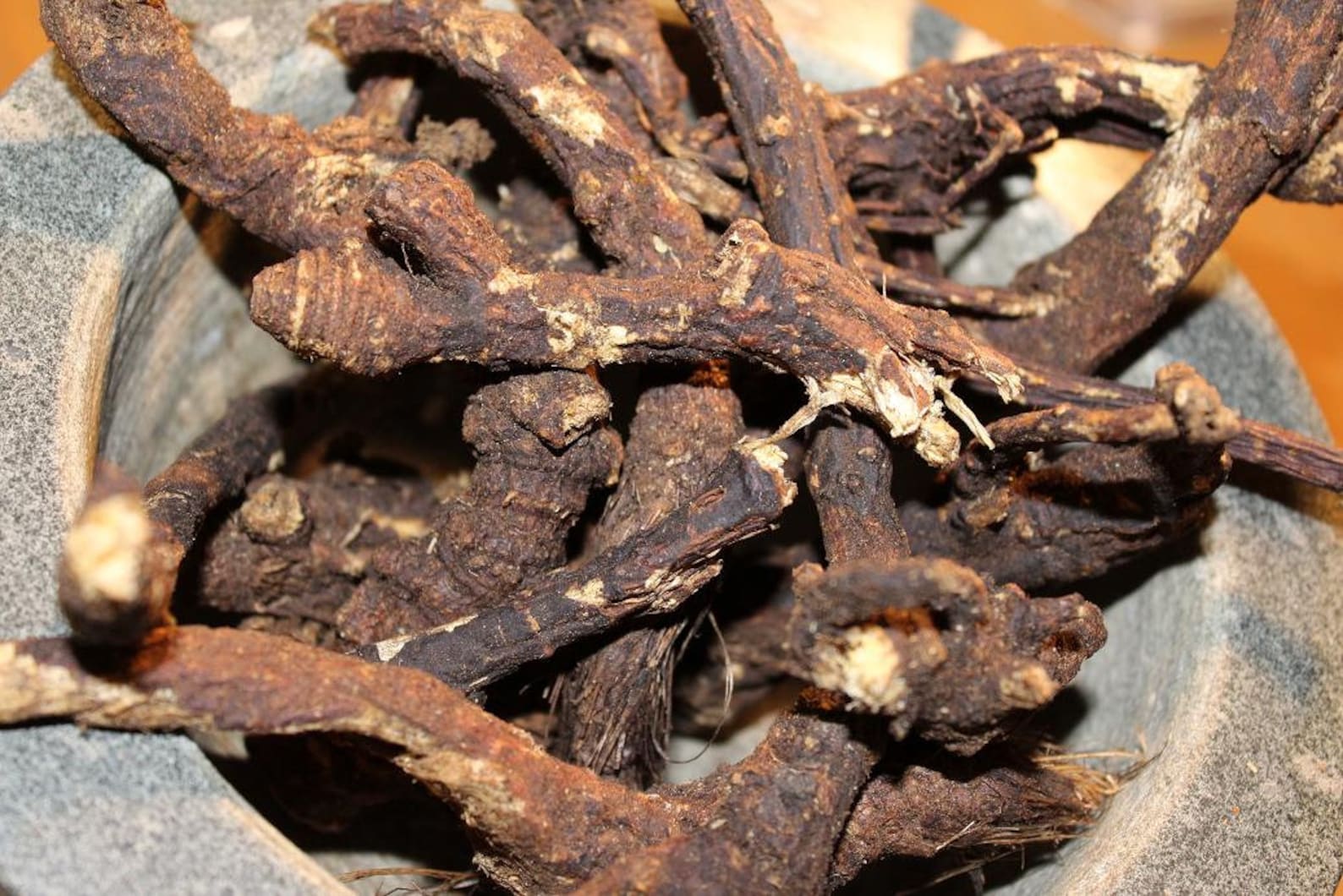 Osha Root - Wild Harvested Fresh Organic Herbs - Etsy