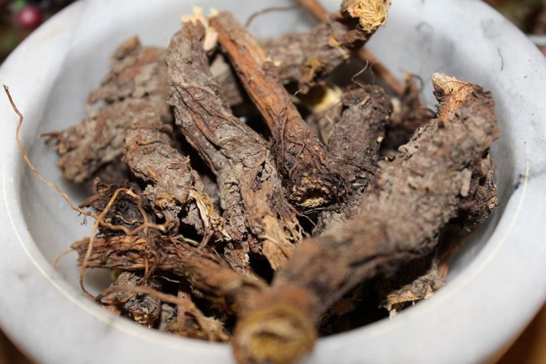 Yellow Dock Root, Cut & Sifted Herb, Winter 2024 Appalachian Mountains ...