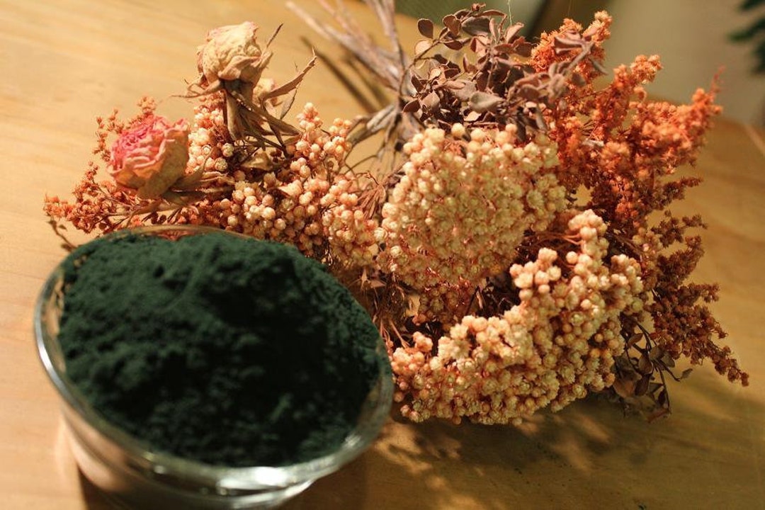 Spirulina Powder - ( Blue-green Algae ) - Etsy