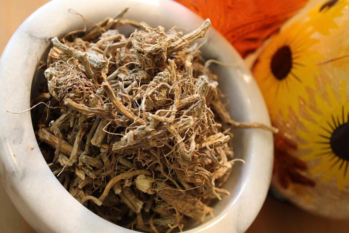 Teasel Root Wild Herbs From the Appalachian Mountains - Etsy